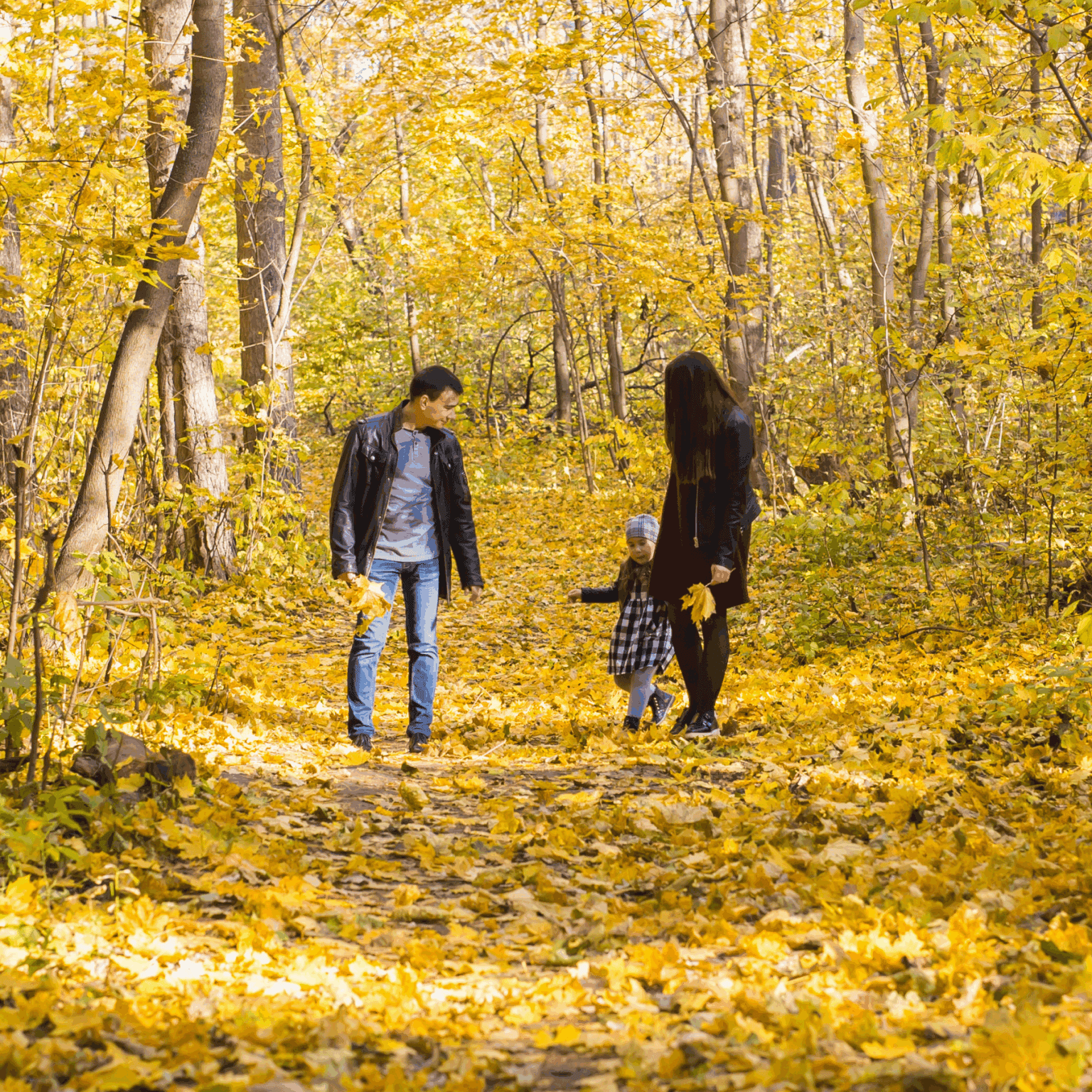 Fiduciary Investment Advisors - Personal CFO for Family Wealth - Optima ...